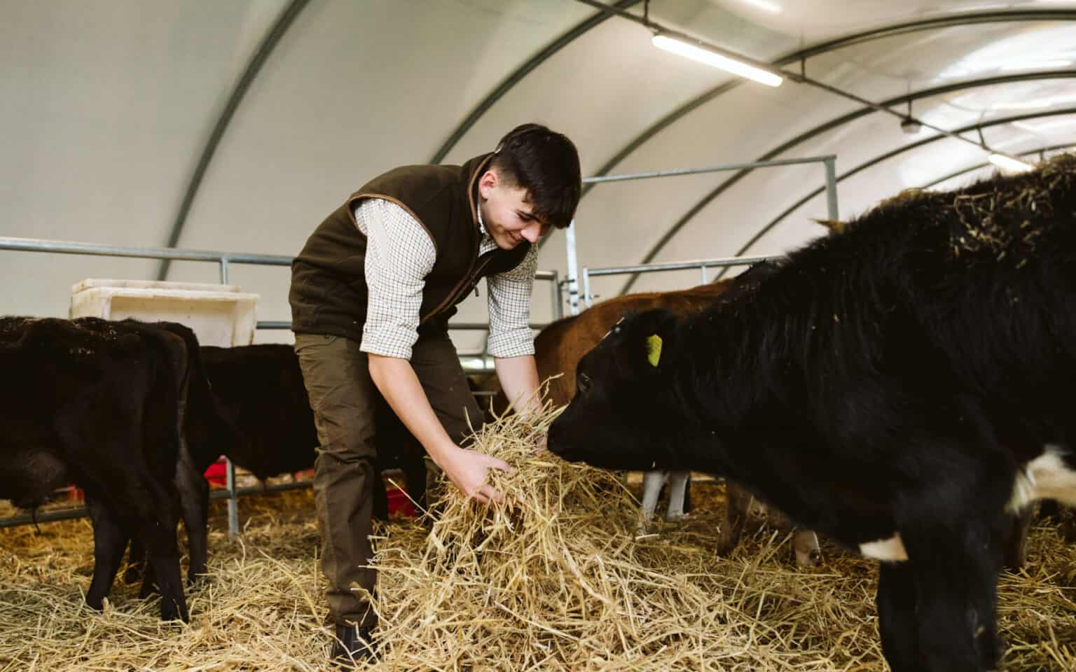 Agriculture Apprenticeships | BCA College | Berkshire