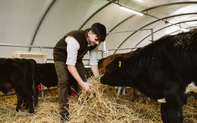 Agriculture Apprenticeships | BCA College | Berkshire