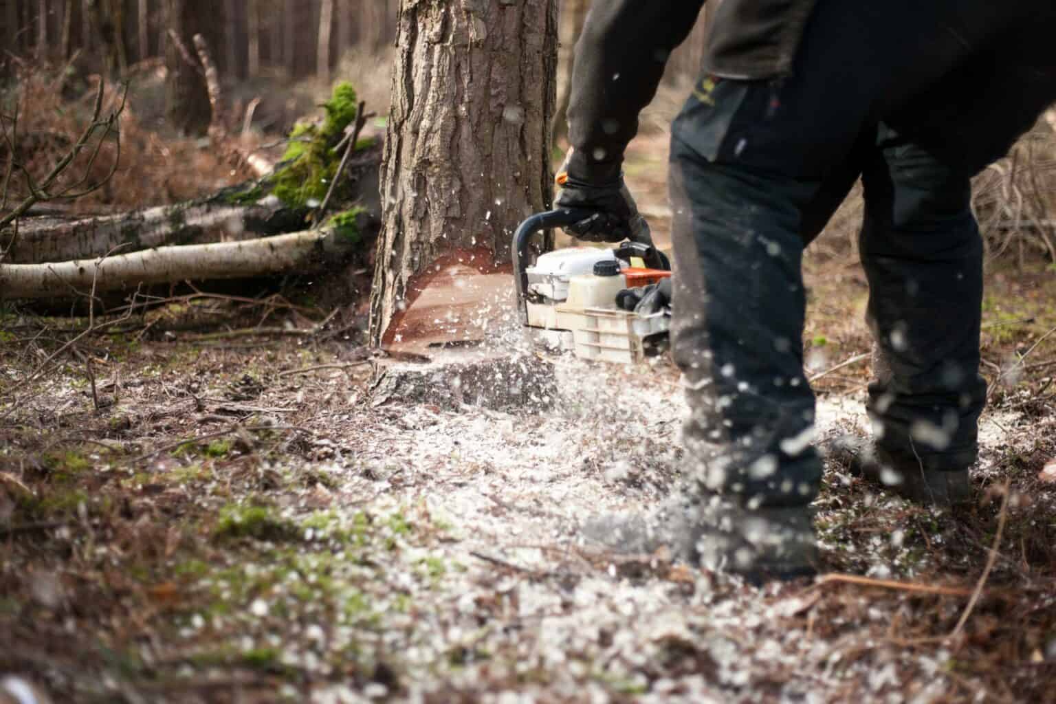 Lvl 2 Competence in Felling Small Trees up to 380mm Course