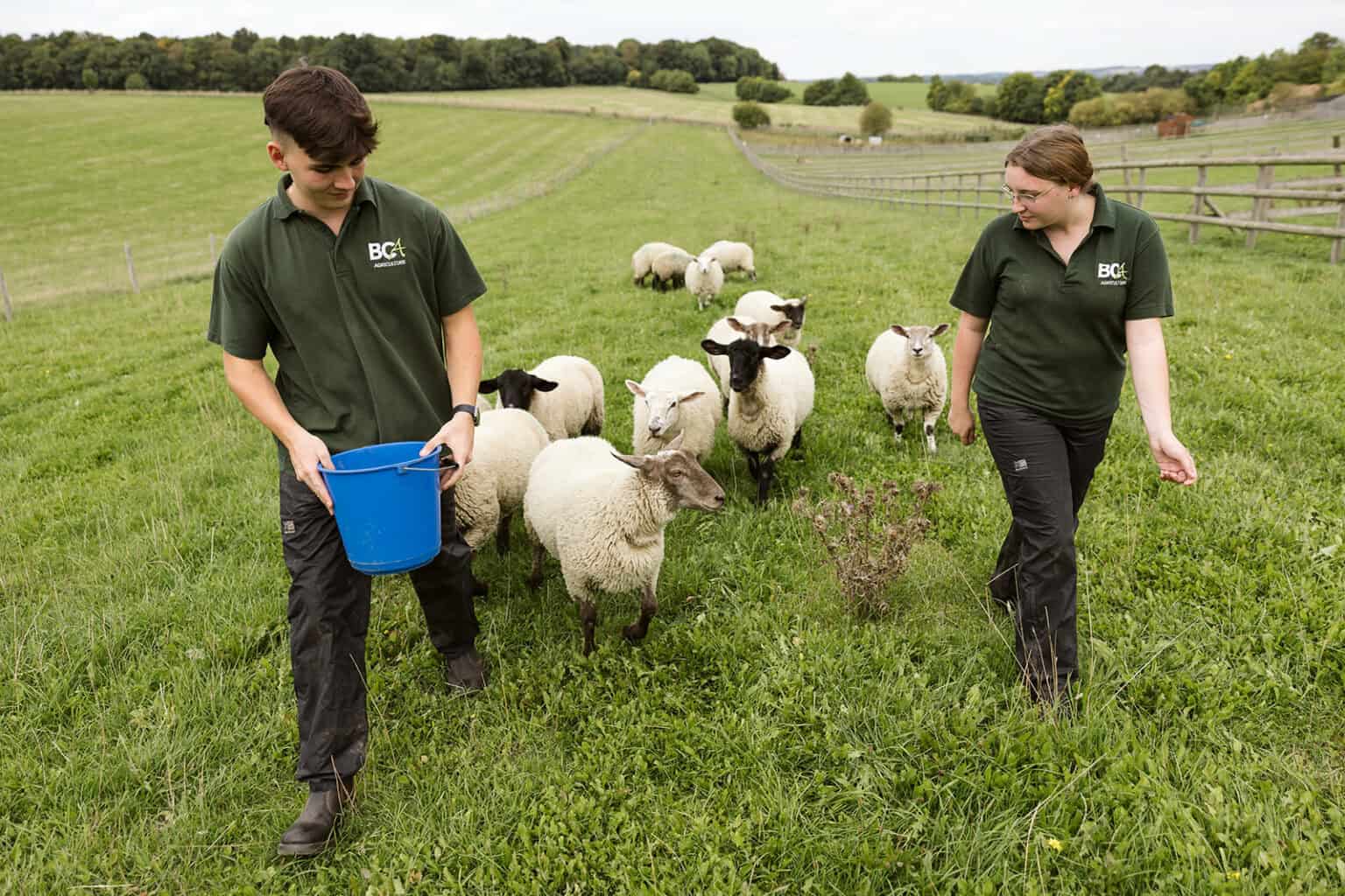 Agriculture Apprenticeships | BCA College | Berkshire