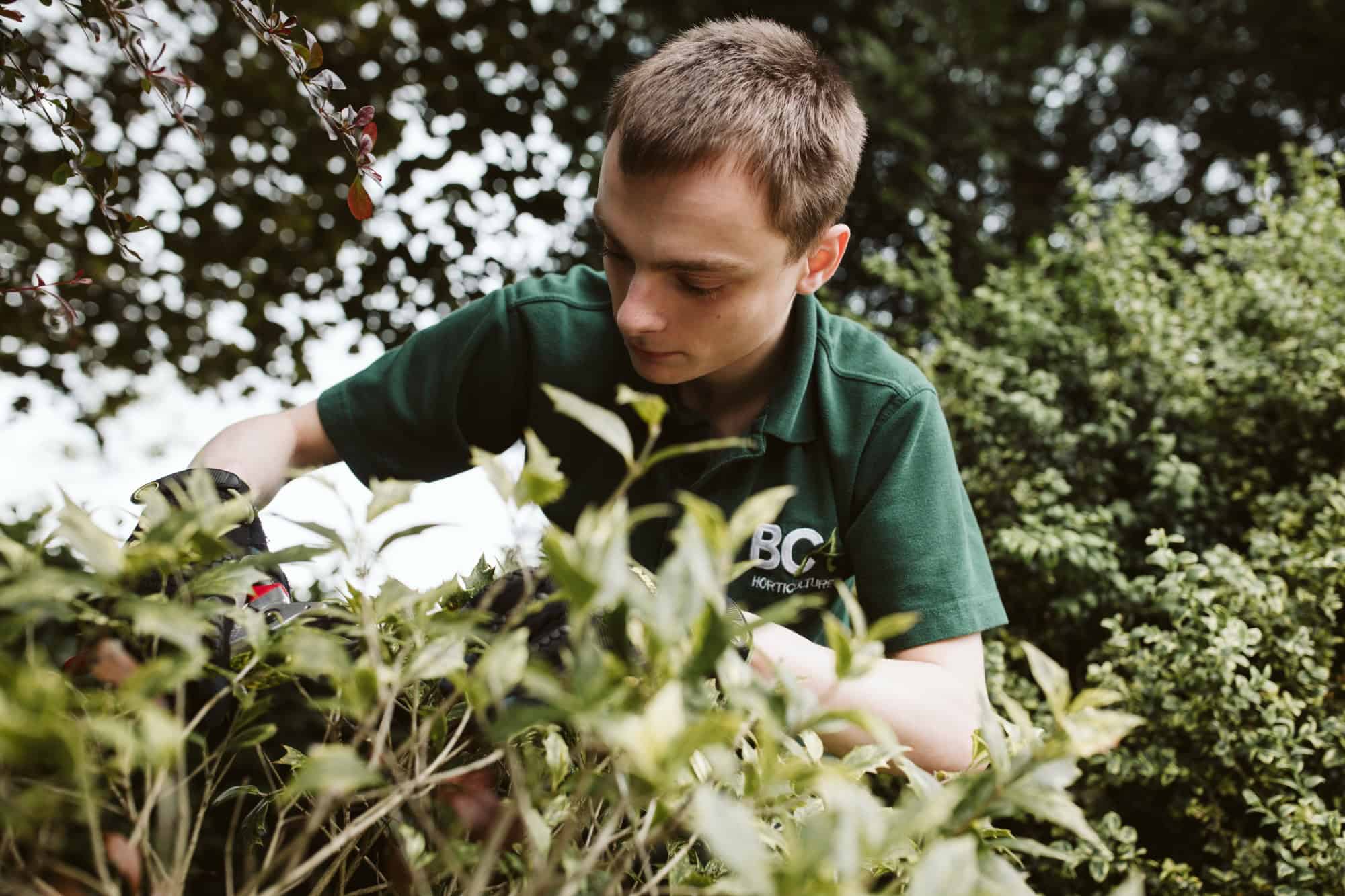Horticulture Apprenticeships | BCA College | Berkshire