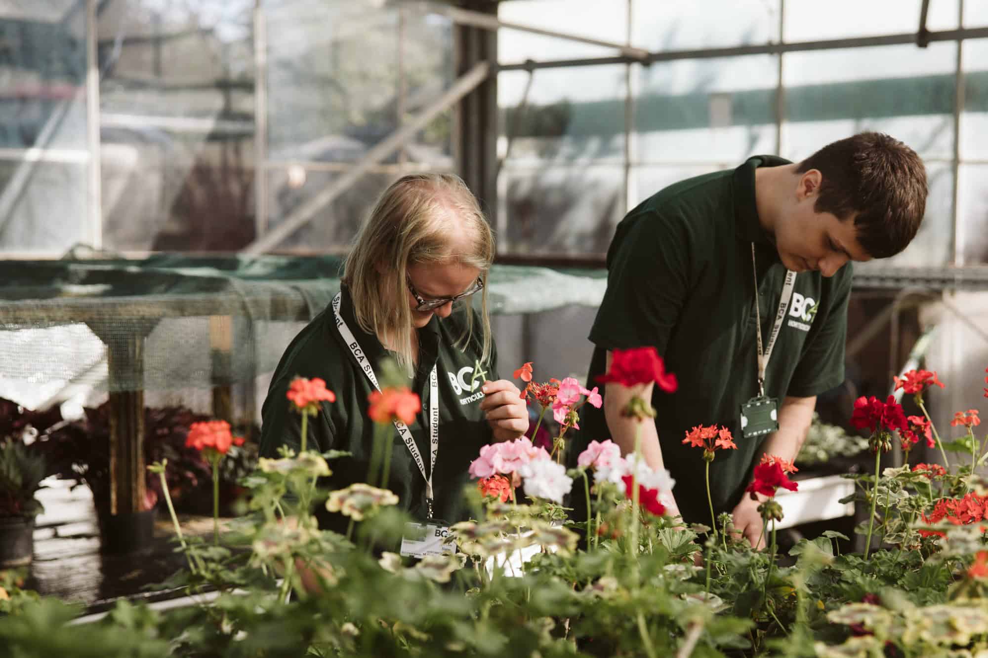 Horticulture Apprenticeships | BCA College | Berkshire