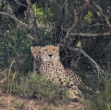 News | Windsor Forest College Group News & Insights