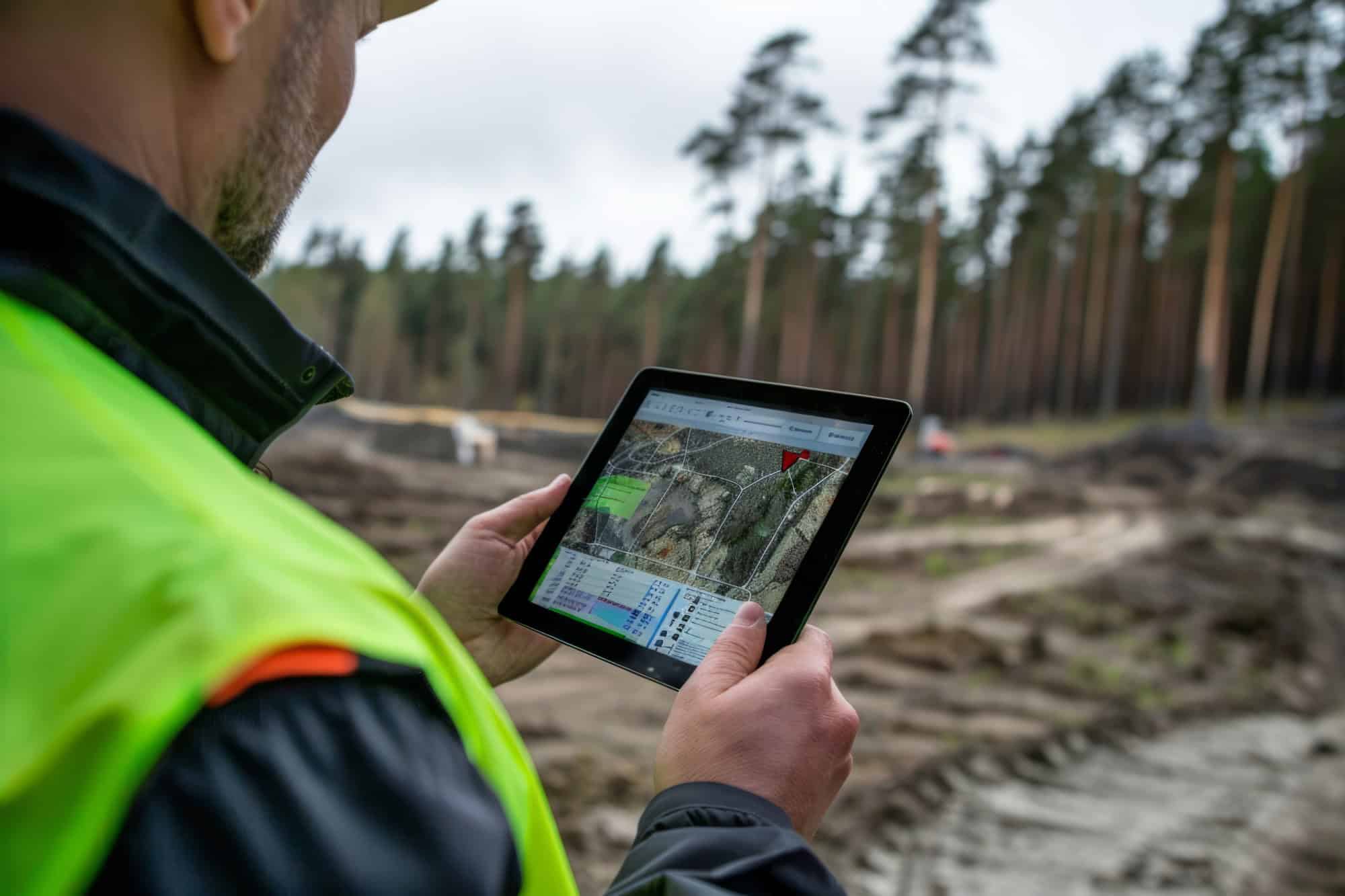 Arboriculture Training & Apprenticeships | BCA College