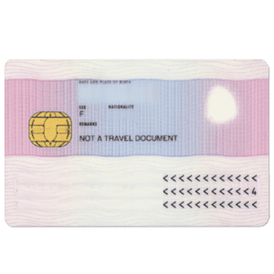 Asylum Seekers and Refugees | Windsor Forest College Group